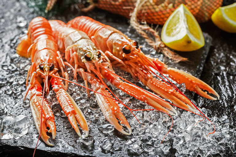 Cigalas a la plancha, cocidas, en sartén u horno, ¿cómo están más ricas ...